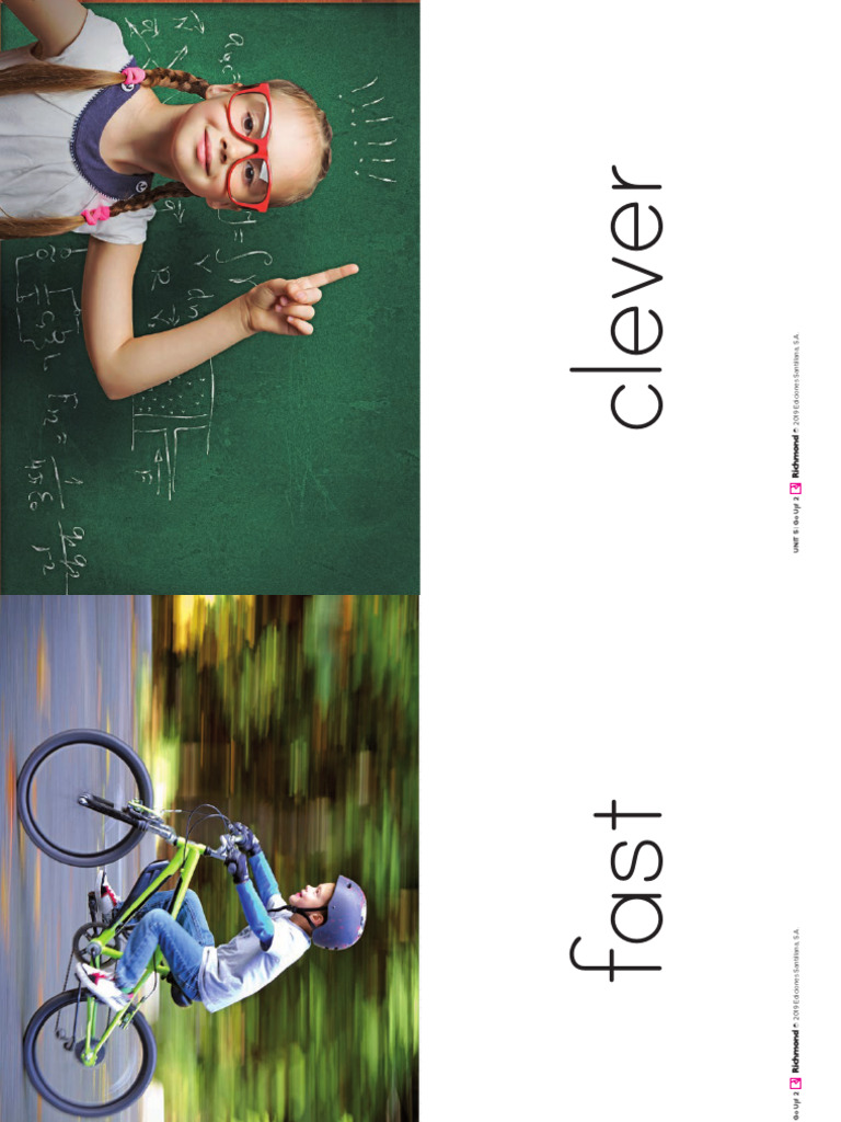 GoUp2 Flashcards U5 | PDF