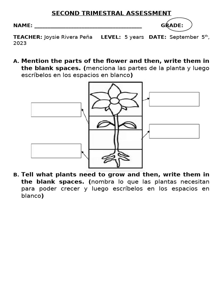 Second Trimestral Assessment - 5 Años | PDF