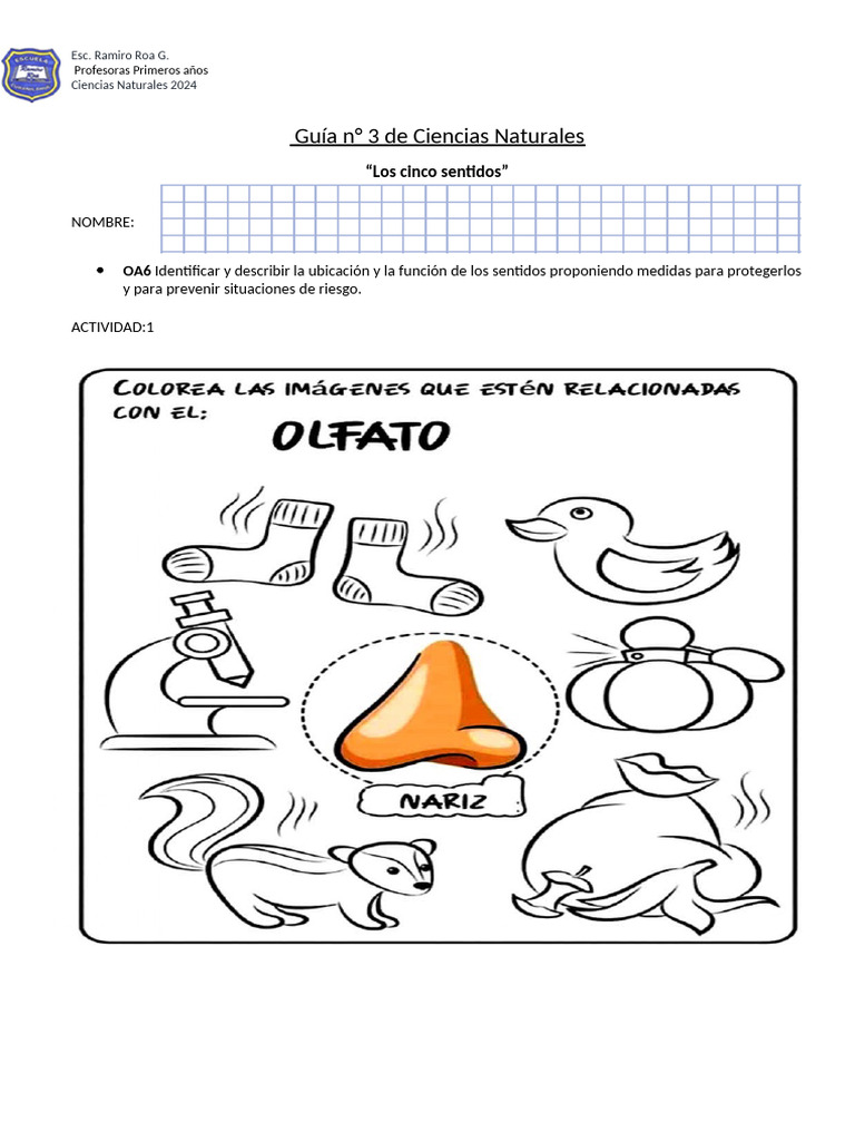 GUIA 4 CLASE CS SEMANA 2 OLFATO (1) | PDF