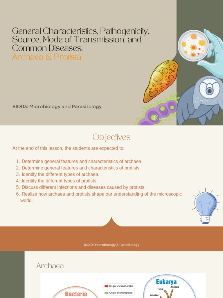 BIO03 W7 Lec (Archaea & Protists) | PDF | Archaea | Bacteria