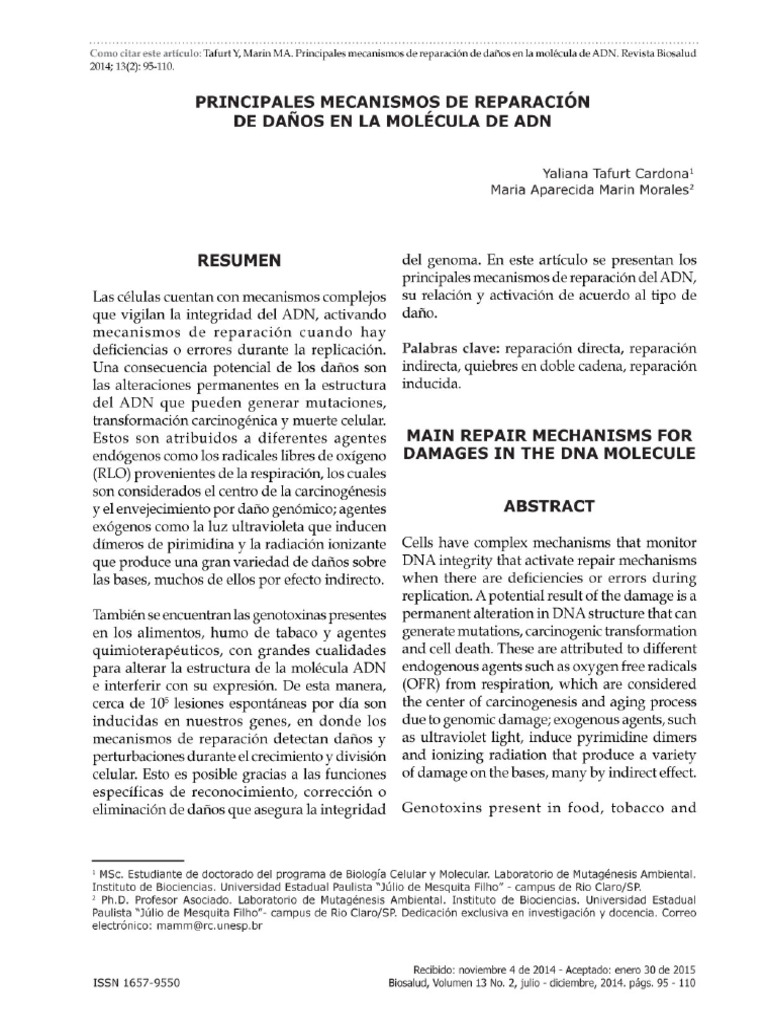 Principales_mecanismos_de_repa.PDF | PDF