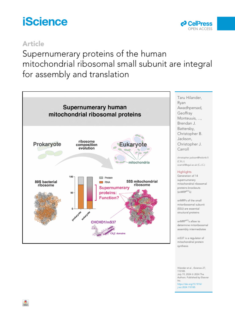Supernumerary Proteins of The Human | PDF | Ribosomal Rna | Mitochondrion