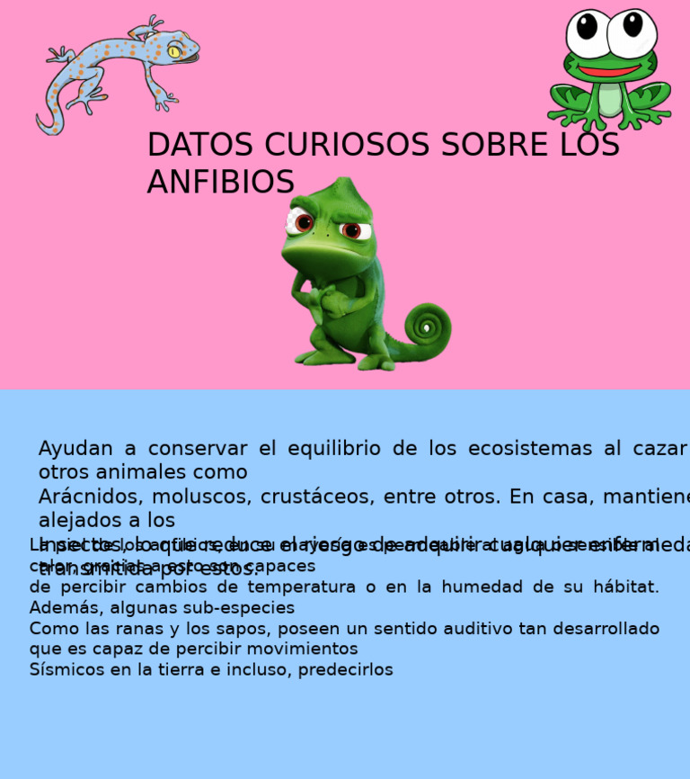 Datos Curiosos | PDF