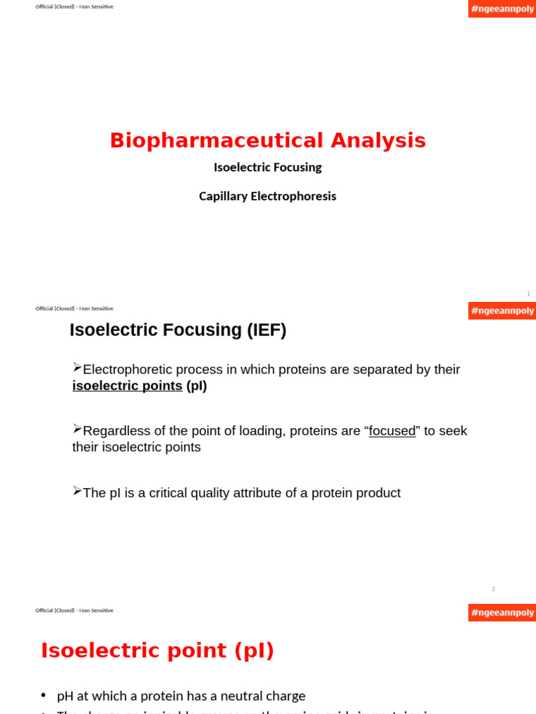 Lecture 3 - Biopharma - Lab 3 IEF and CE (Lecture) | PDF | Carboxylic ...