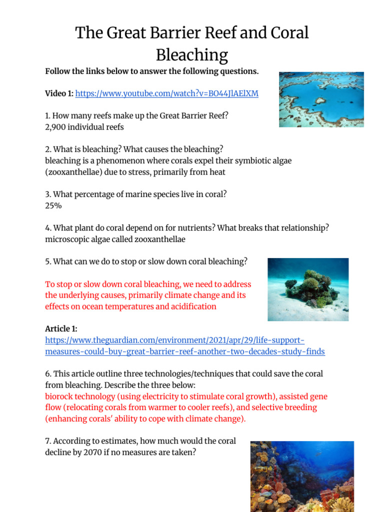 Liam Pierce - The Great Barrier Reef and Coral Bleaching WQ | PDF
