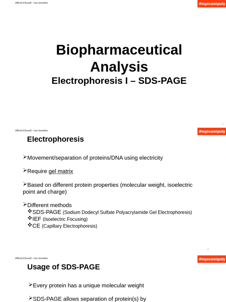SDS-PAGE Protocol for Protein Analysis | PDF | Polyacrylamide Gel ...