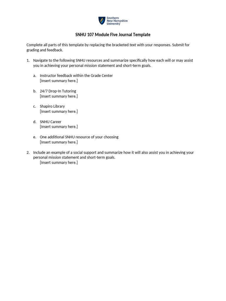 SNHU 107 Journal Template Guide | PDF