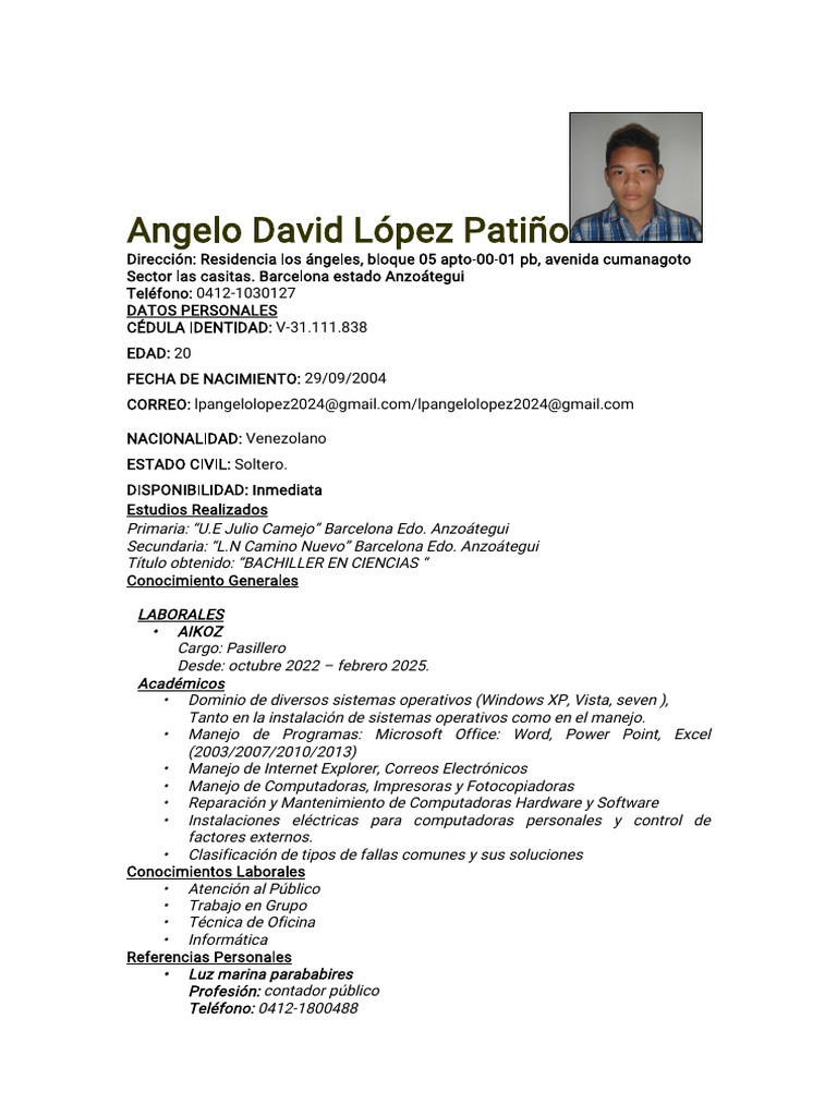 Currículum de Angelo López Patiño | PDF