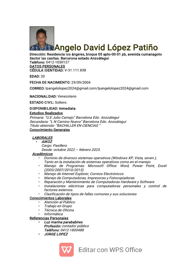 Curriculum Angelo Lopez | PDF