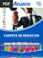 TyM Thinner y Mezclas de Pochteca | PDF | Pintar