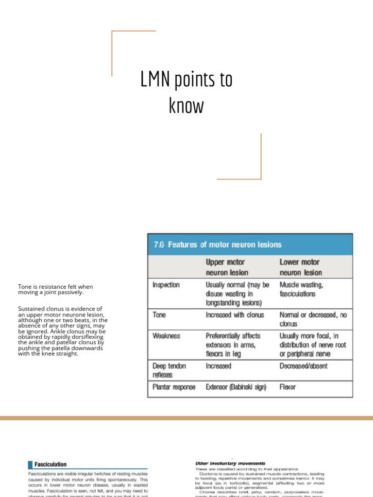 LMN Points To Know | PDF