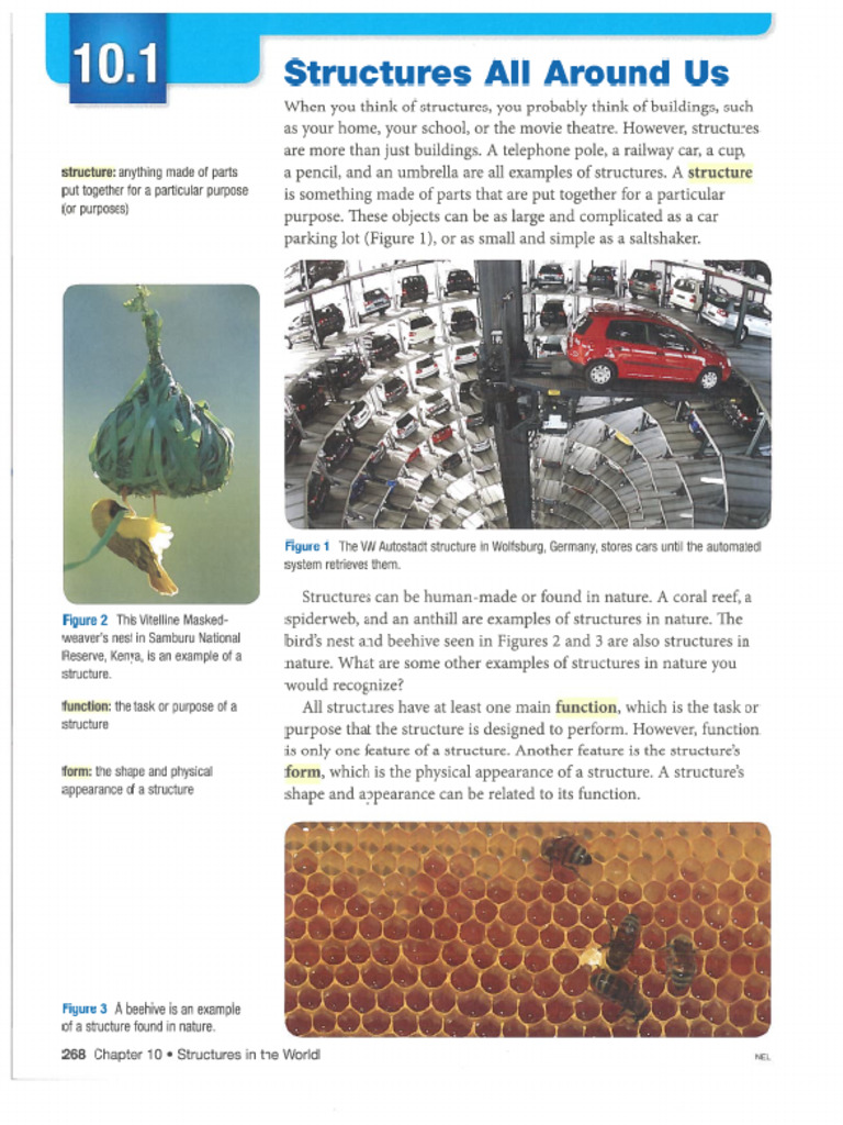 Structures All Around Us Nelson Grade 7 Science | PDF
