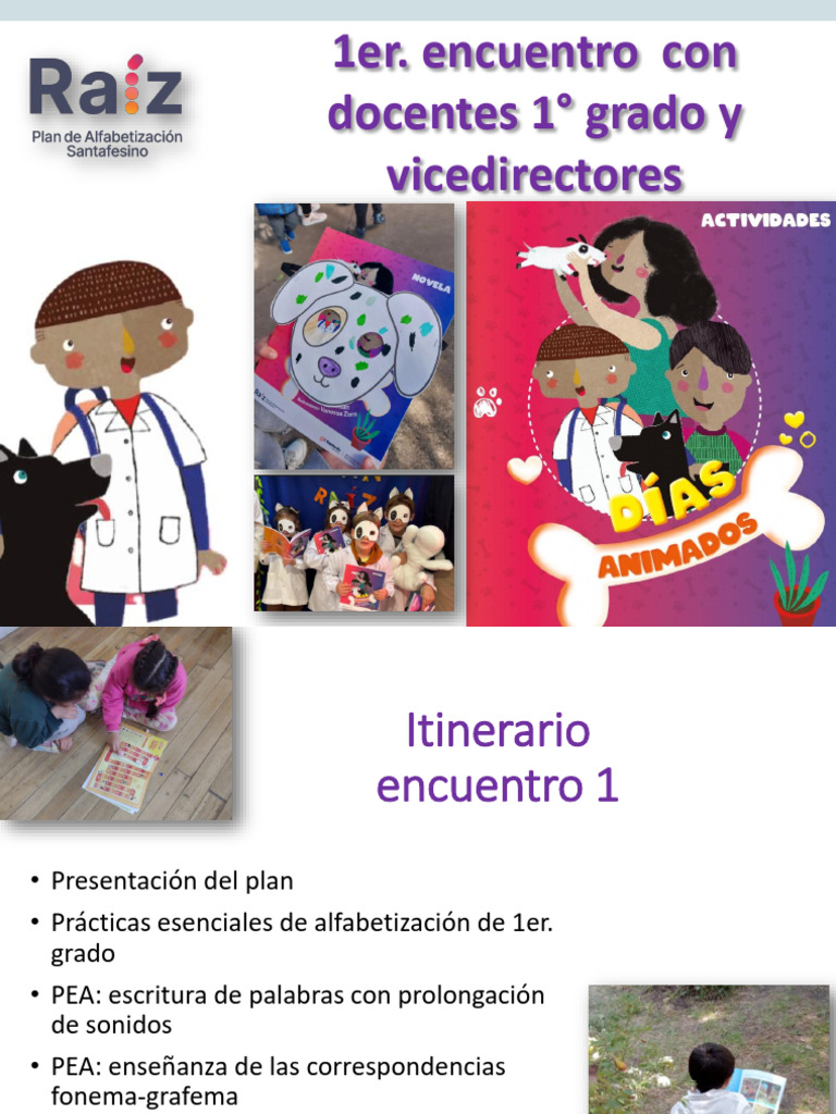 Encuentro sobre Plan Raíz 2025 y Alfabetización | PDF | Enseñando ...