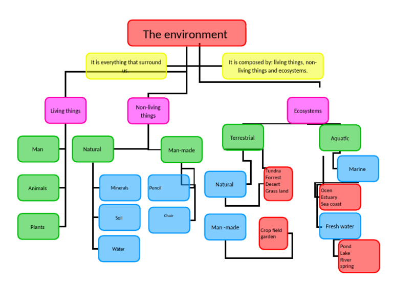 The Environment Classroom Posters Flashcards Picture Description e ...