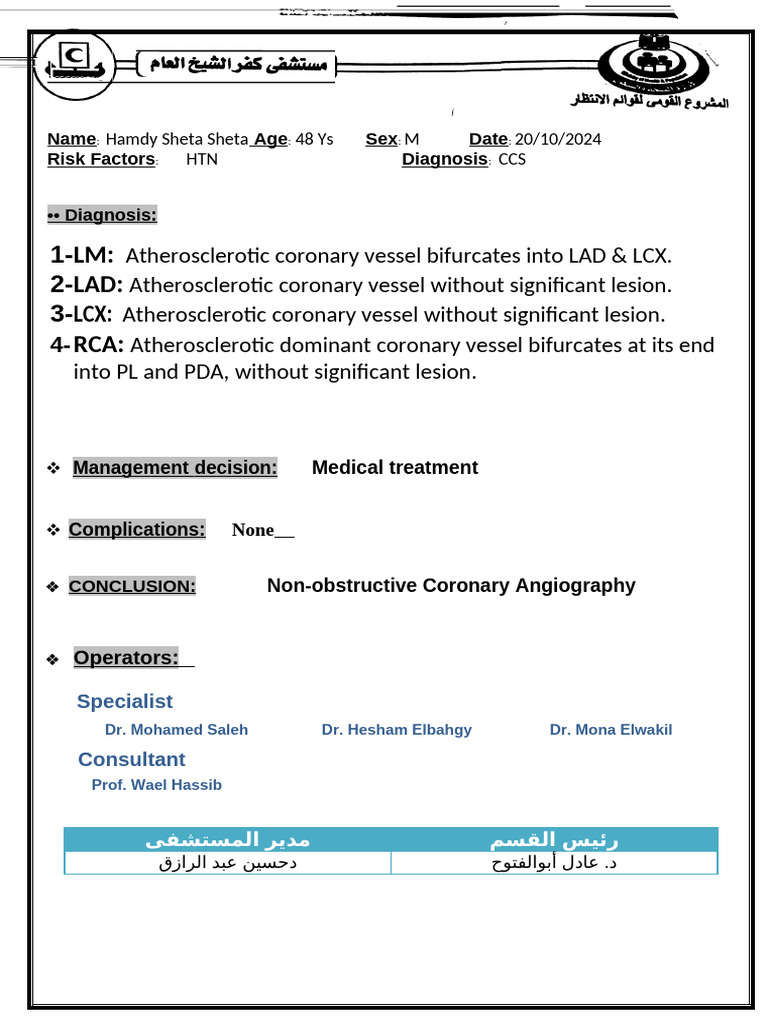 Hamdy Sheta Sheta | PDF
