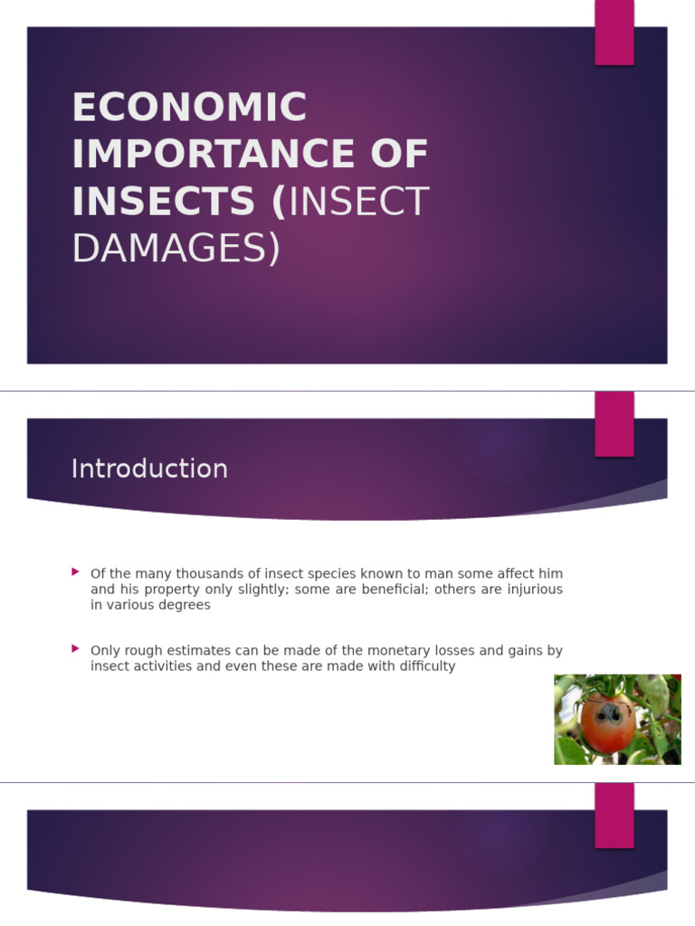 60-Economic Importance of Insects (Insect Damages) | PDF