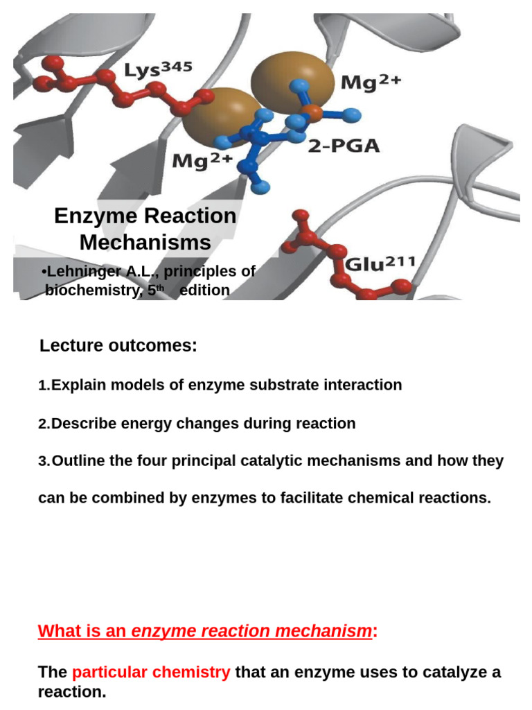 Enzyme Reaction Mechanisms Explained | PDF | Enzyme Kinetics | Enzyme
