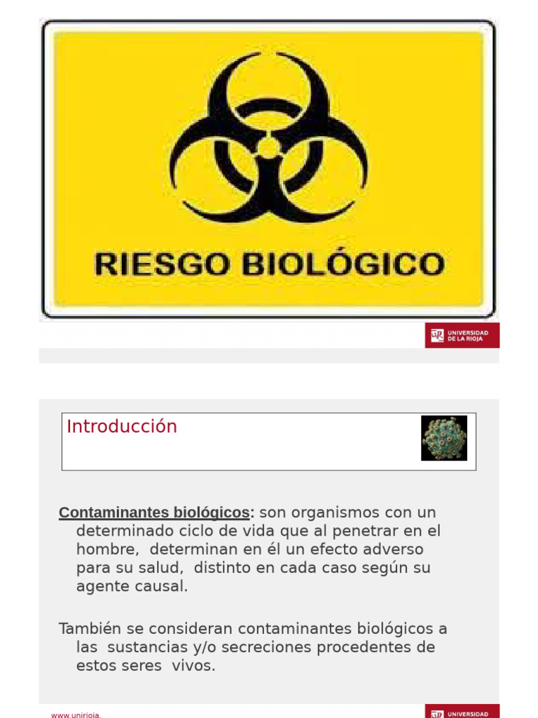 Contaminantes Biológicos y Riesgos Laborales | PDF | Virus | Alergia