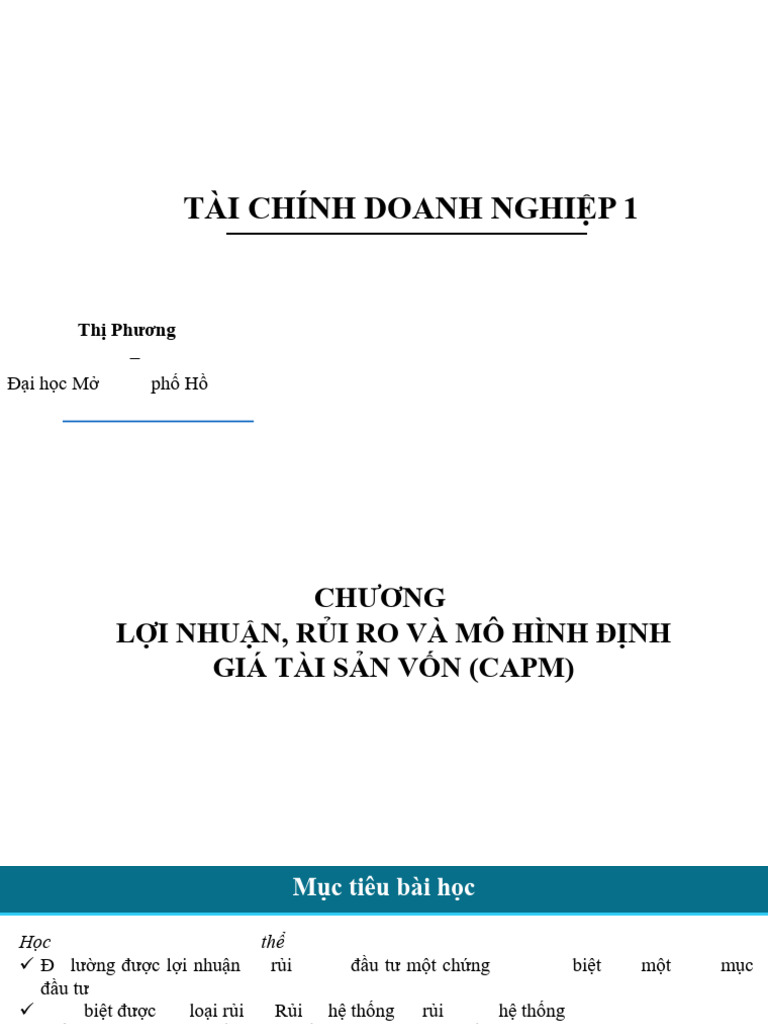 TCDN 1. Chuong 3. Loi Nhuan Rui Ro Va Mo Hinh Dinh Gia Tai San Von | PDF