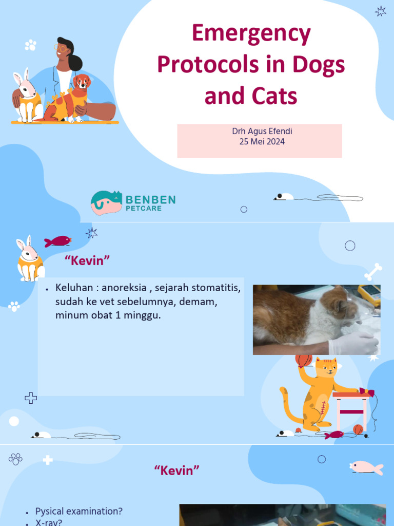 Emergency Protocols in Dogs and Cats | PDF