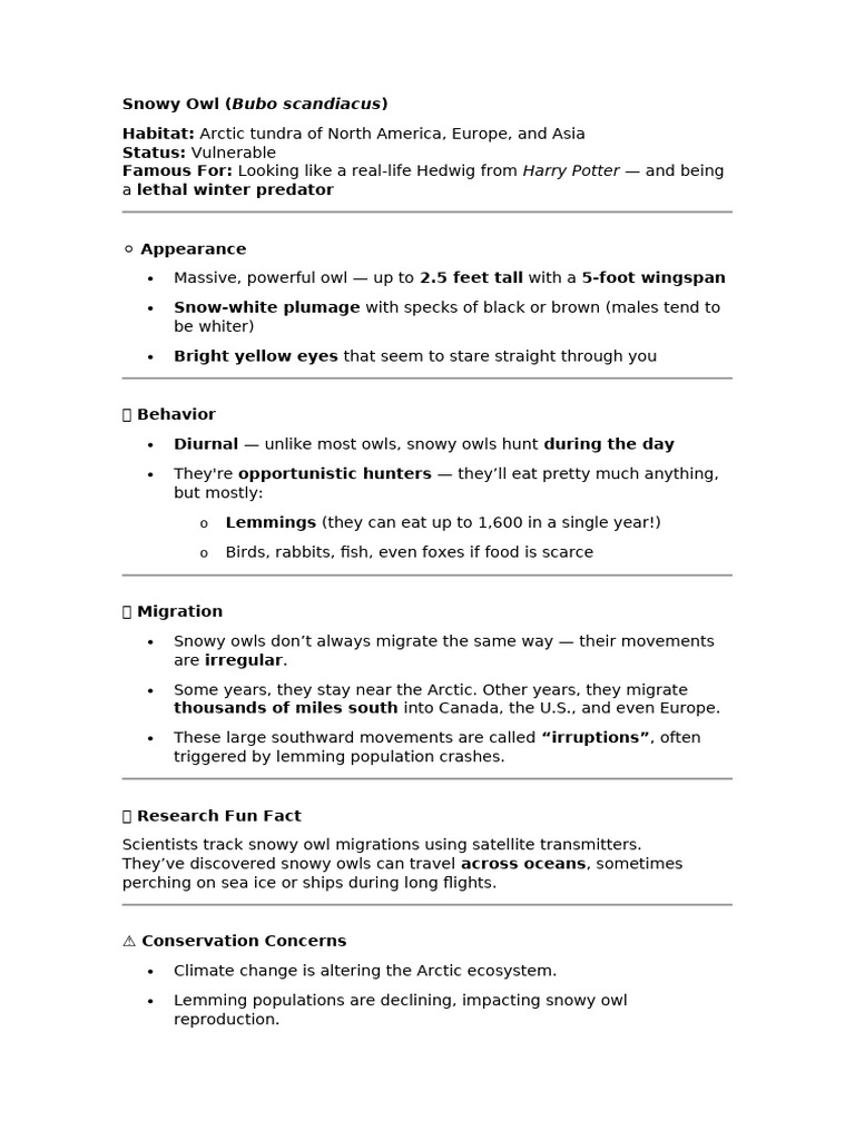 Snowy Owl Facts for Kids | PDF