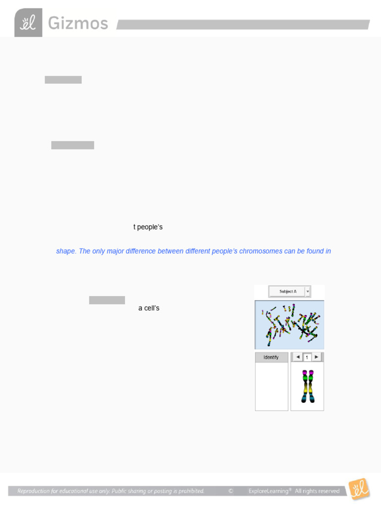 HumanKaryotypingSE Key | PDF | Karyotype | Chromosome