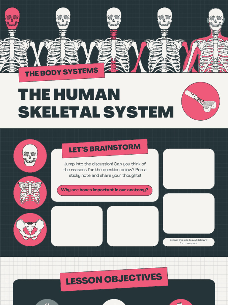 Understanding the Human Skeletal System | PDF | Pelvis | Hand