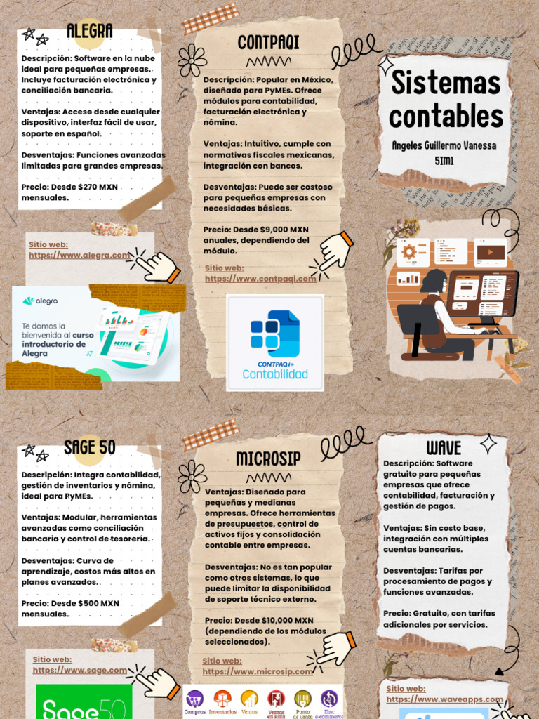 Sistemas Contables | PDF | Contabilidad | Pequeñas y medianas empresas