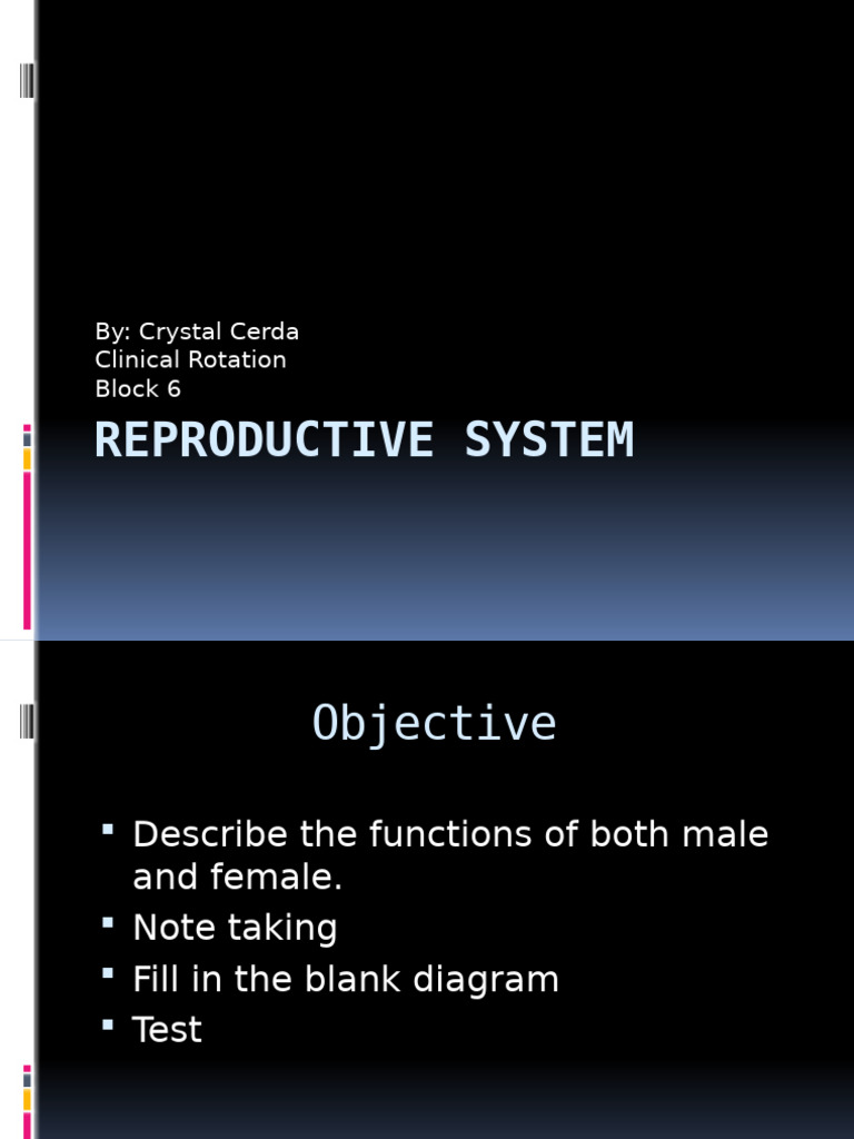 The Reproductive System Powerpoint | PDF | Reproductive System | Female ...