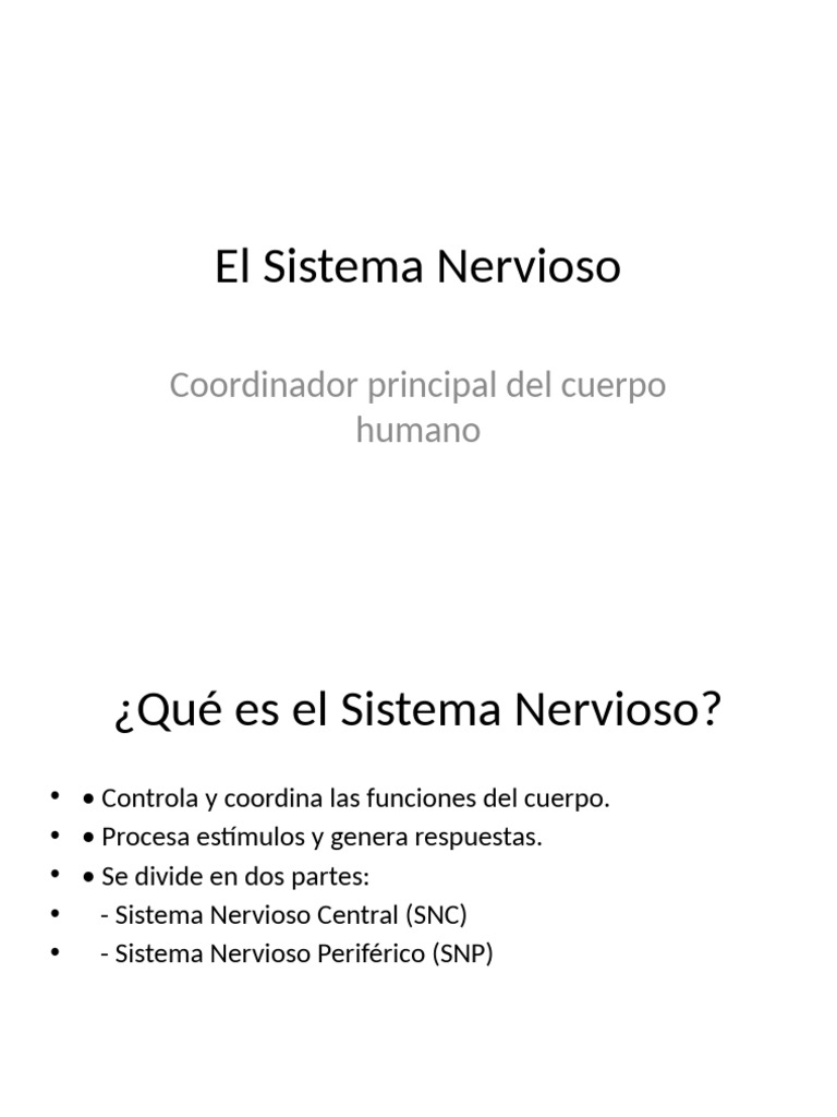 Sistema Nervioso Presentacion | PDF