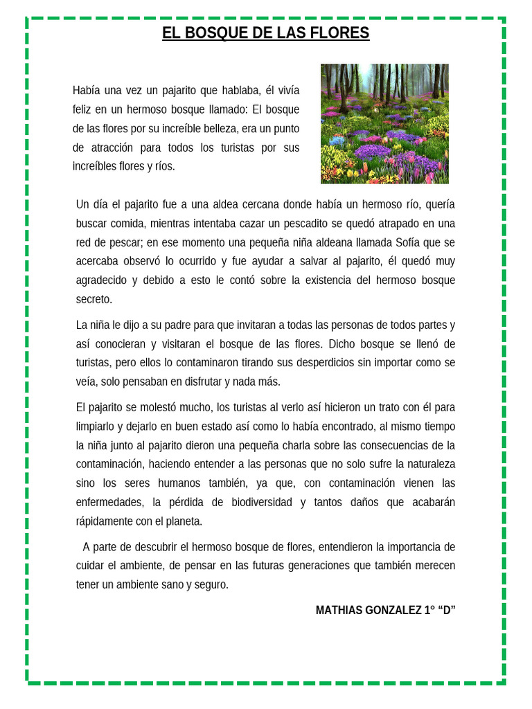 Cuidado del Medio Ambiente en el Bosque | PDF