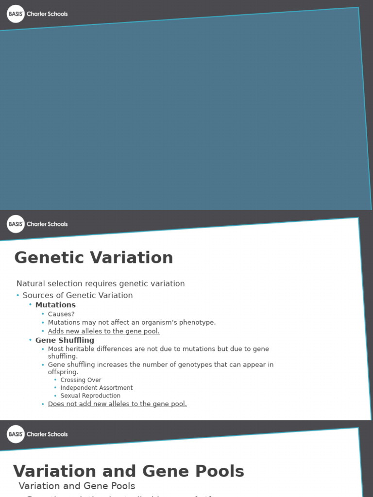 Mechanisms of Evolution | PDF | Gene | Genetics