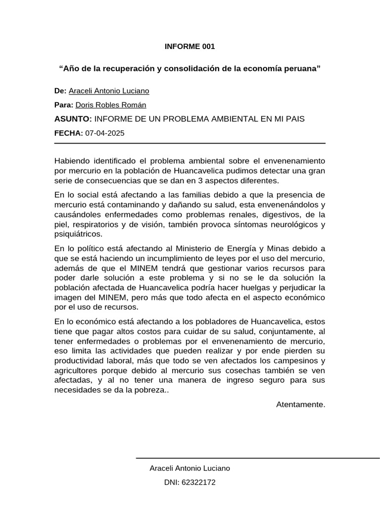 Informe 001 CC - Ss | PDF