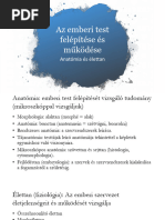 Az Emberi Test Felépítése Anatómia Ápolás | PDF