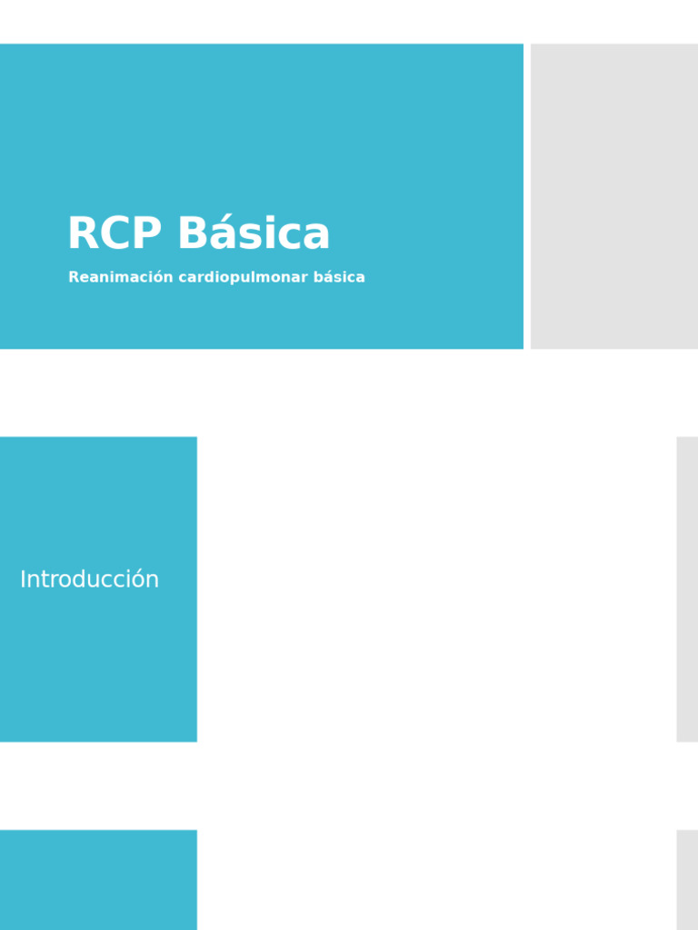 RCP Básica | PDF