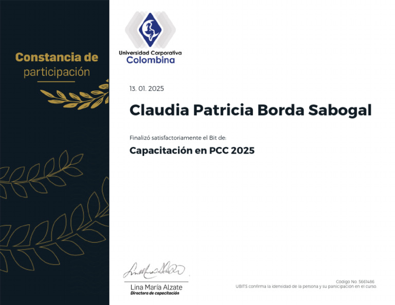 Capacitacin - en - PCC - 1735493243 - Certificado 2025 | PDF