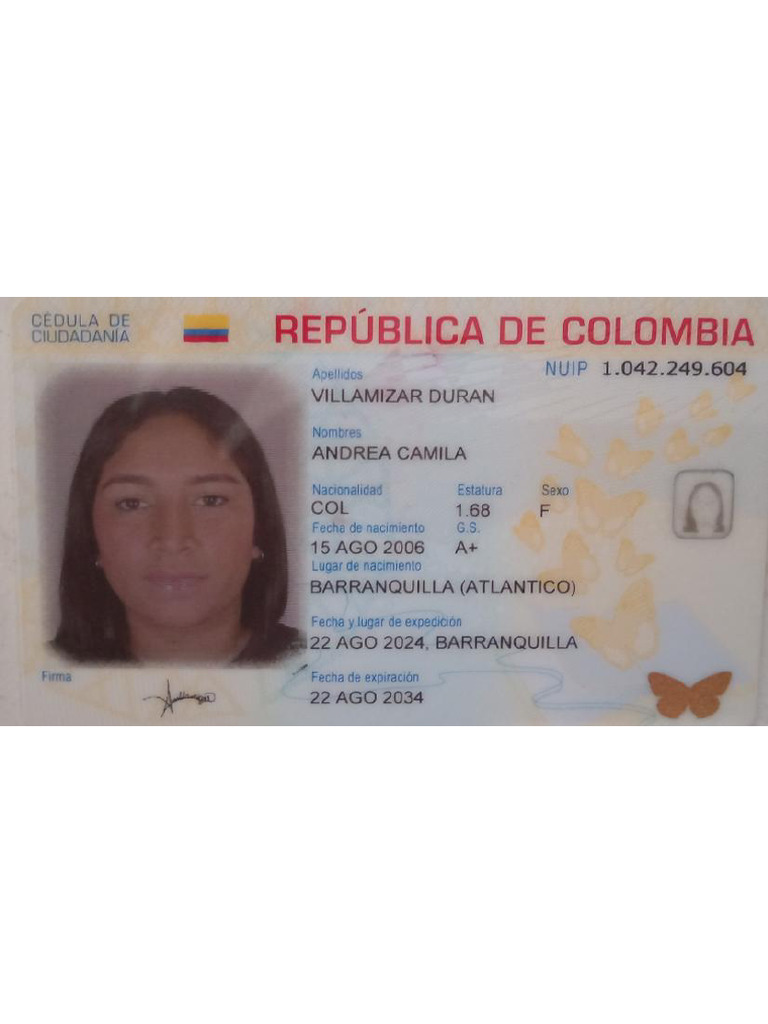 Cédula Andrea Villamizar | PDF