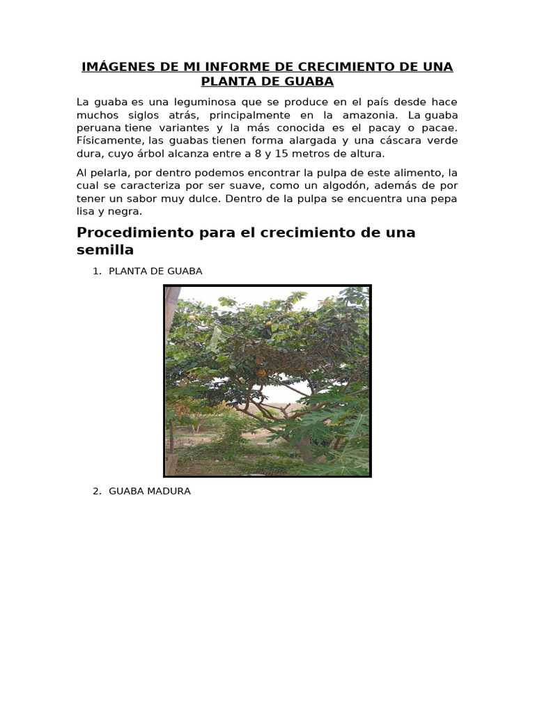 Planta de Guaba | PDF