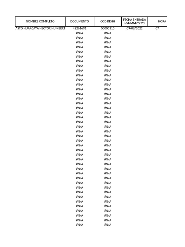 FORMATO_CARGA_MASIVA | PDF