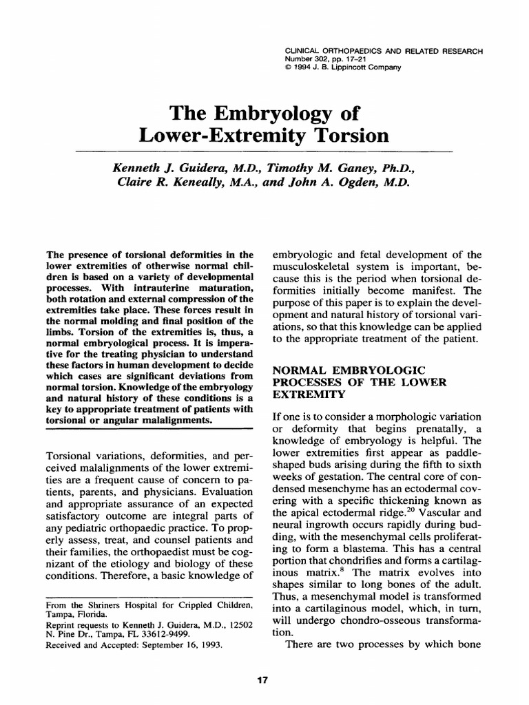 The Embryology of Lower Extremity Torsion.4 | PDF | Anatomical Terms Of ...