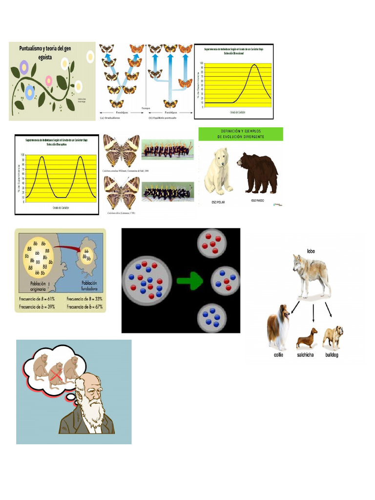 Cromos de Biologia | PDF