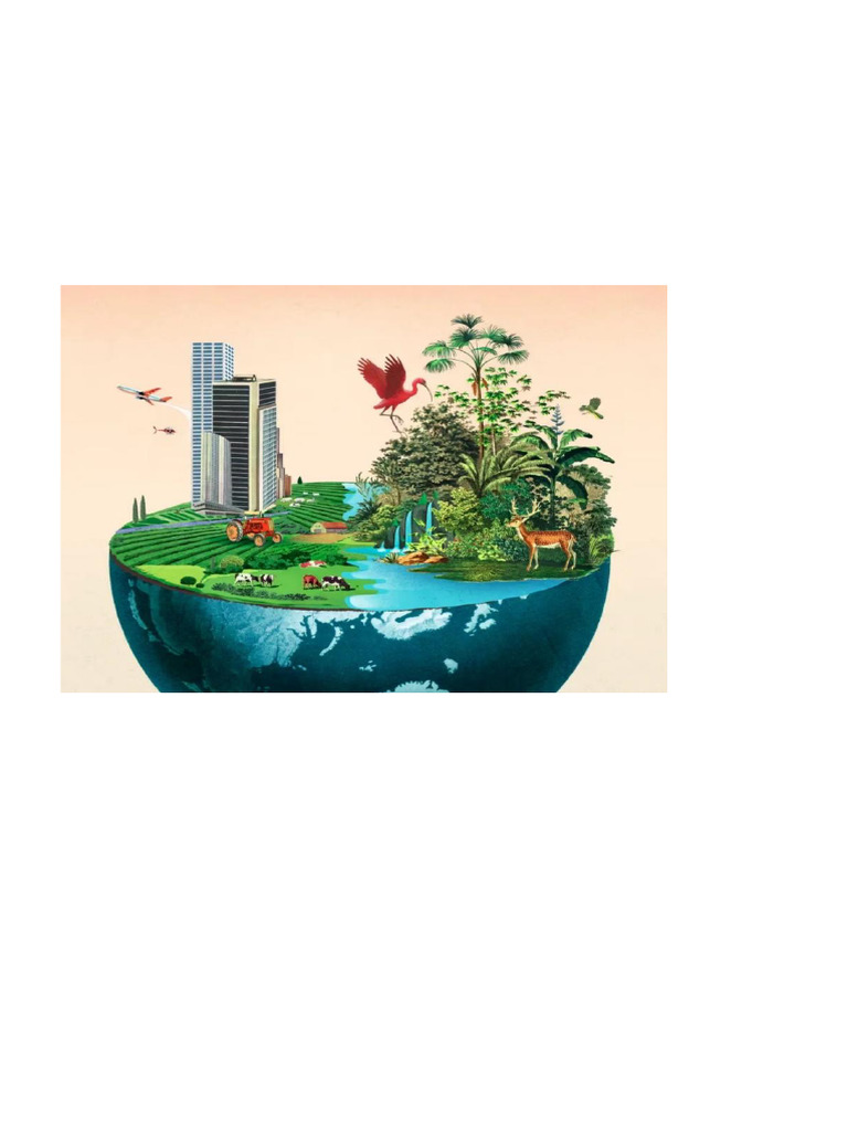 Note - Ecosystems and Biodiversity | PDF | Ecosystem | Decomposition