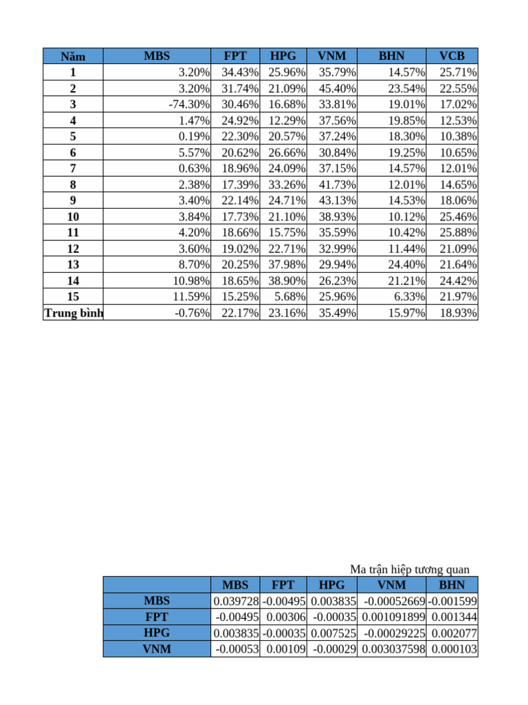Năm MBS FPT HPG VNM BHN VCB 1 2 3 4 5 6 7 8 9 10 11 12 13 14 15 Trung Bình | PDF