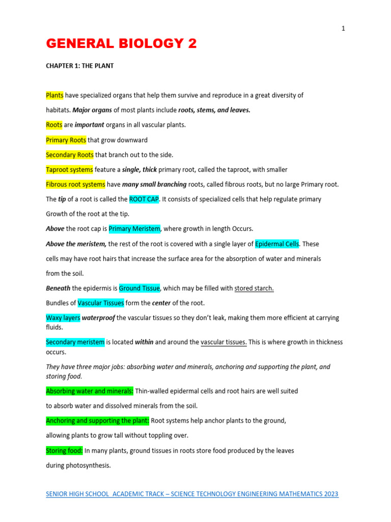 Reviewer - General Biology | PDF | Plant Stem | Dominance (Genetics)