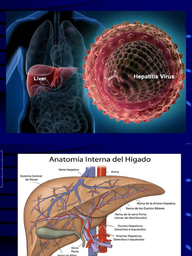 18. Hepatitis Viral | PDF | Hepatitis | Hepatitis B