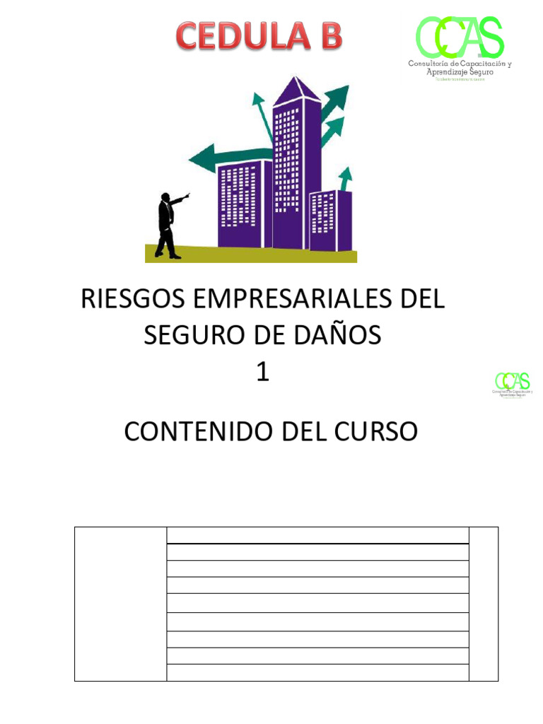 1 PRESENTACIONES DE CEDULA B 1a Parte | PDF | Póliza de seguros | Seguro