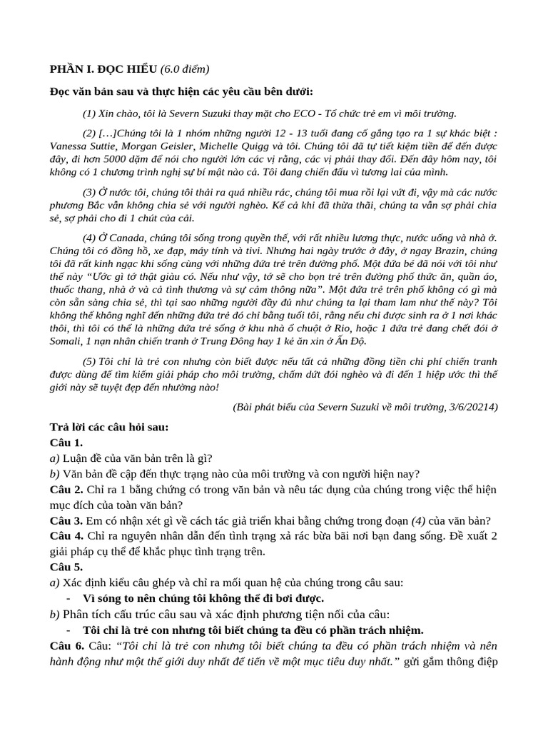 ĐỌC HIỂU VĂN 9 GK2 | PDF