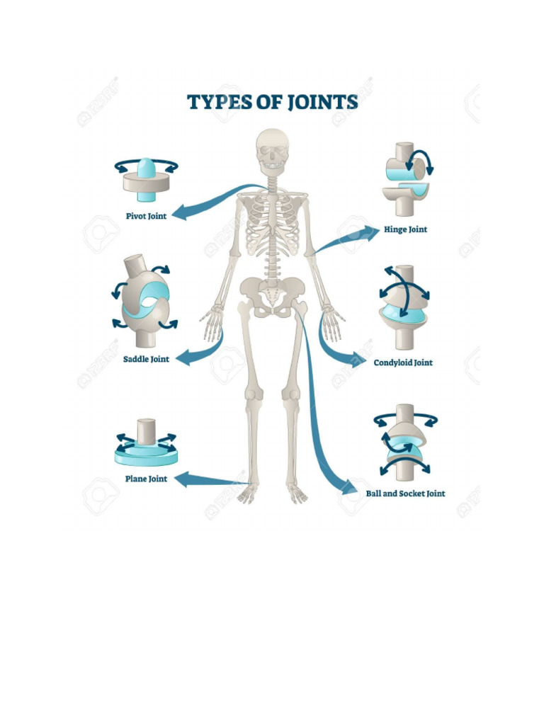 Types of Joints | PDF