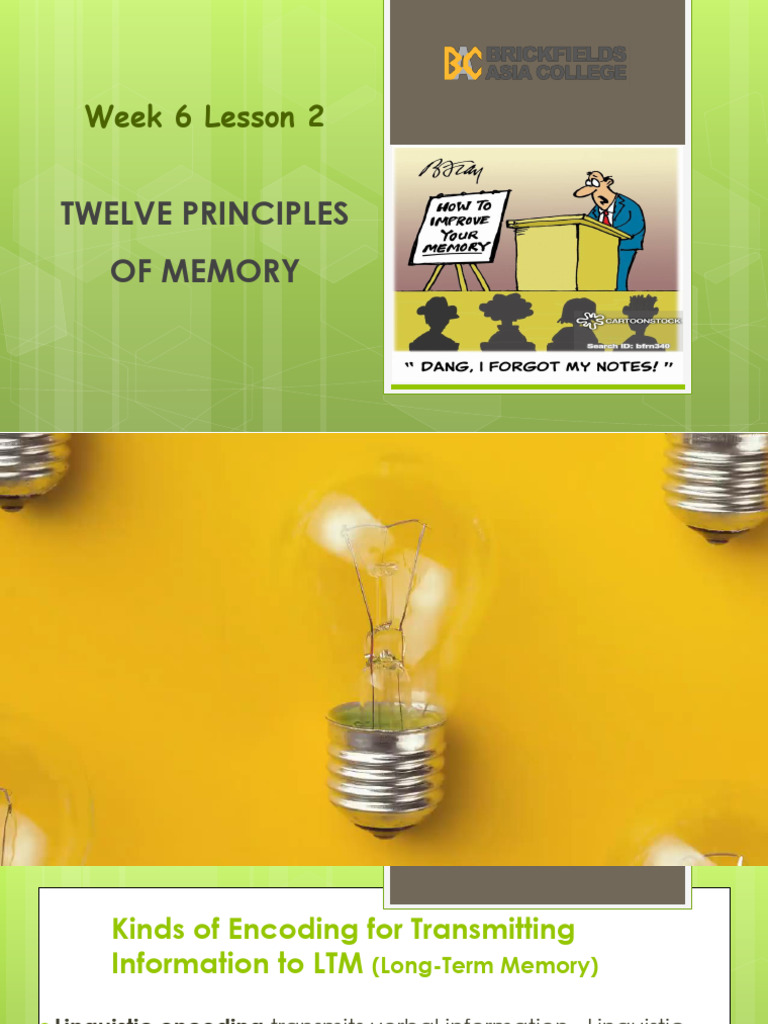 Week 6 Lesson 2 LTM and 12 Principles of Memory | PDF | Memory | Learning