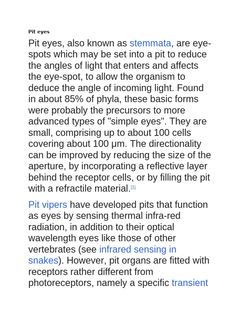 New Microsoft Office Word Document - 3 | PDF | Eye | Light
